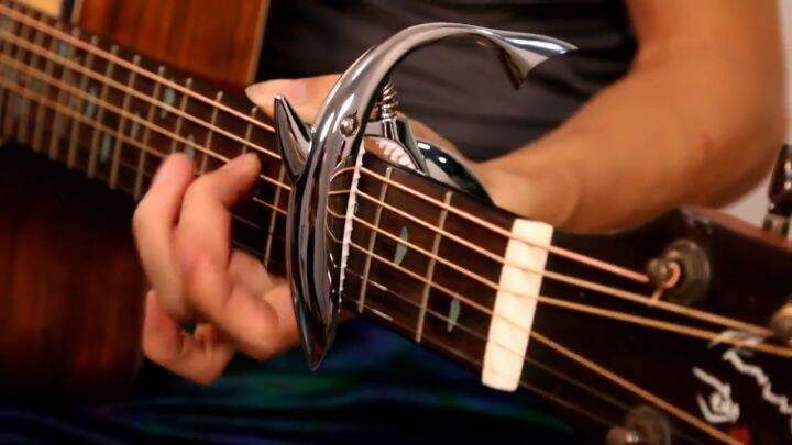 【Local Warehouse】Guitar Capo Shark Acoustic Tuner Guitar Accessories ...
