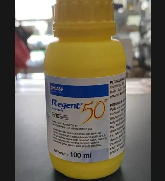 regent 100 ml | Lazada Indonesia