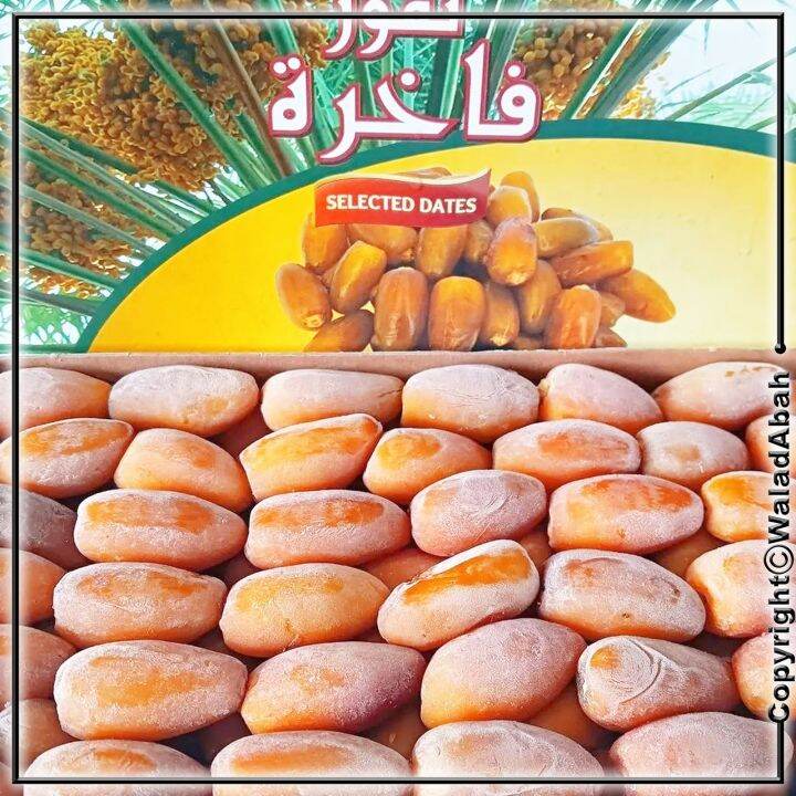 KURMA RUTHOB LIBYA 1 KG | Lazada Indonesia