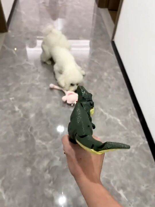 DODOJOY ของเล่นไดโนเสาร์ ไทแรนโนซอรัสเร็กซ์ แบบกด แกว่งหัวและหางได้ พร้อมสวิงไบท์ ของเล่นเพื่อ ...