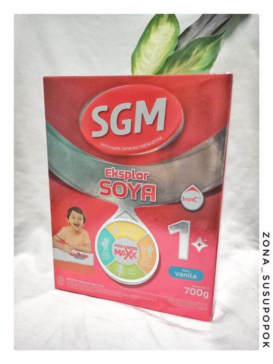 SGM SOYA 1+ (1-5TAHUN) | Lazada Indonesia