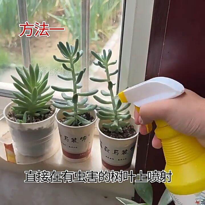 500ML Plant organic insecticide 500ML insecticide for vegetables ...