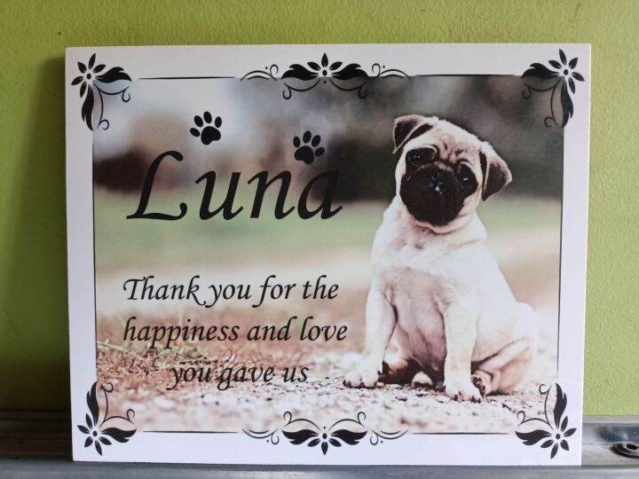 JMT Ceramic Lapida for Pets (8x10 inches) | Lazada PH