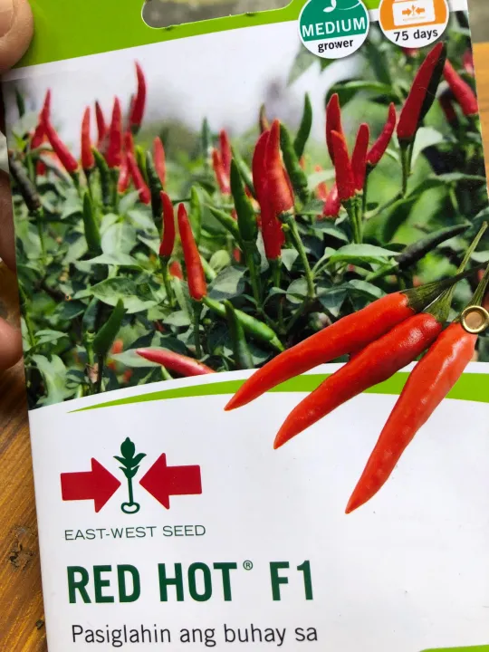 Red hot F1 Siling Labuyo, Taiwan, Siling tingala | Jfarm | Lazada PH