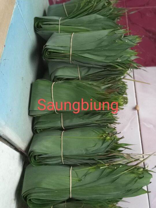 Daun Bambu Jumbo Bungkus Bacang isi 100 lembar | Lazada Indonesia