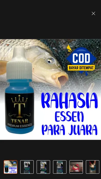 tenar biru essen si paling gacor | Lazada Indonesia