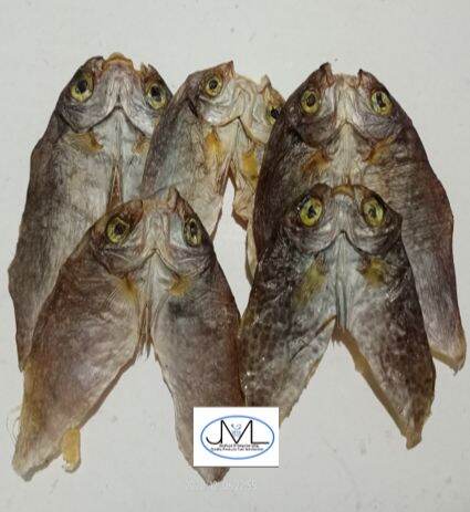 Premium Danggit in VACUUM SEALED Authentic from Bantayan Island Cebu ...