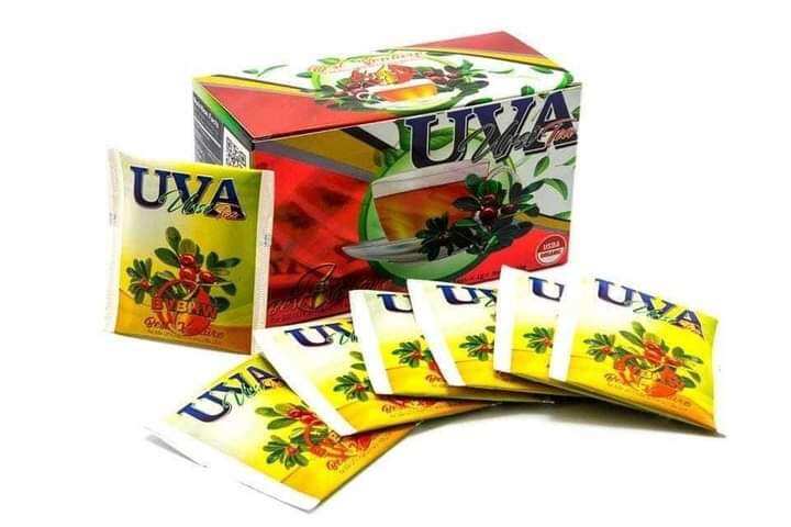 UVA URSI TEA AUTHENTIC | Lazada PH