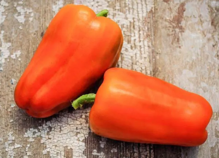 เมล็ดพันธุ์พริกหวานสีส้ม เรเวีย สวีท เปปเปอร์ Rewia Sweet Pepper Seed ...