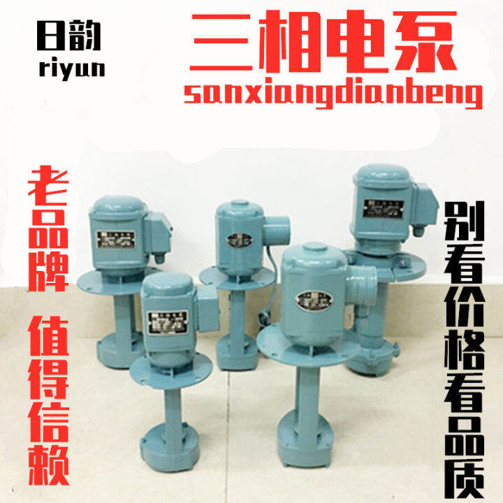 Shanghai Riyun Machine Tool Oil Pump Electric Pump DB-12A 40W Three ...