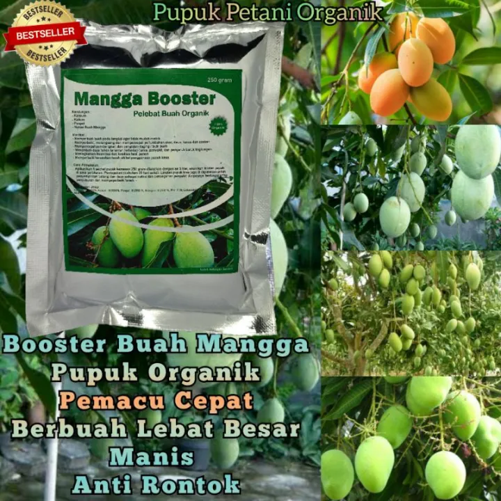 Pupuk Organik Booster Mangga Perangsang Buah Agar Cepat Berbuah Lebat | Lazada Indonesia