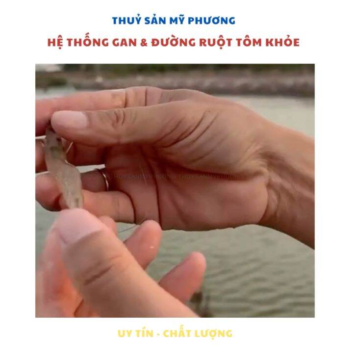Thuoc Đường Ruột Thuoc Tri Bệnh Phân Trắng Thuoc Xổ Ký Sinh Trùng Men ...