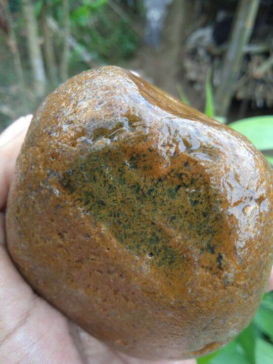 BATU GARUT SUPER KRISTAL MOTIF RUMPUT LAUT LANGKA | Lazada Indonesia