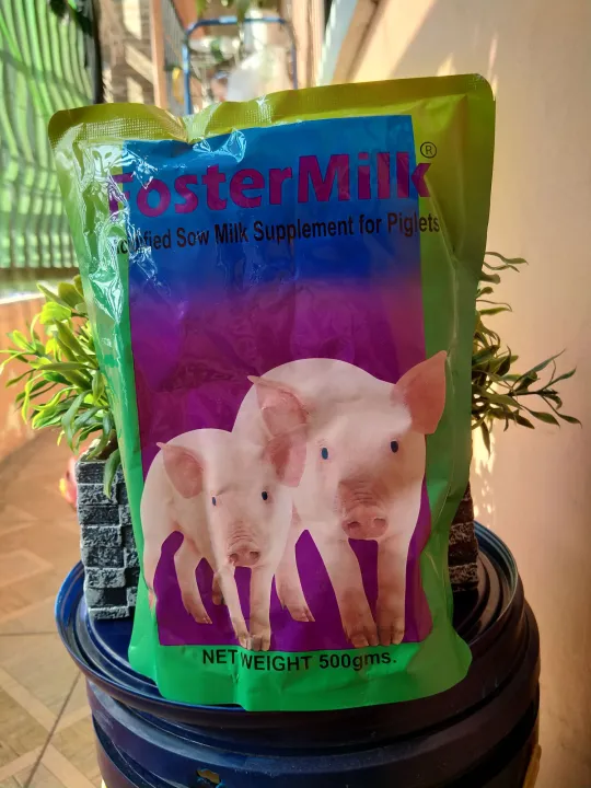 Foster Milk Acidified Sow Milk Supplement for Piglets 500gms | Lazada PH