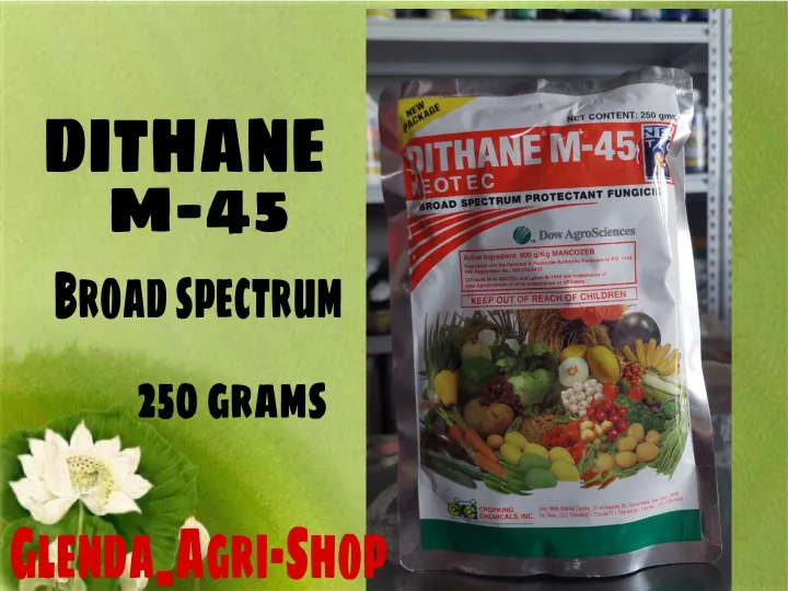 DITHANE M-45 Protectant Fungicide for plants ( 250grams) | Lazada PH