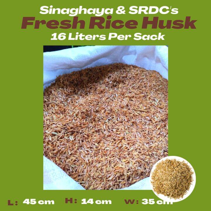 Ipa ng Palay 16L per Sack | Fresh Rice Hull 16L per Sack | Lazada PH