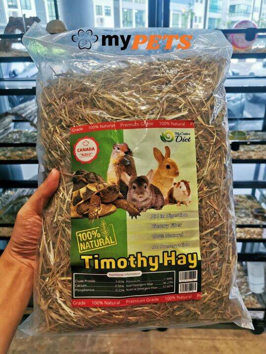 Timothy Hay 500g & 1kg (Rabbit, guinea pig, chinchilla, tortoise food ...