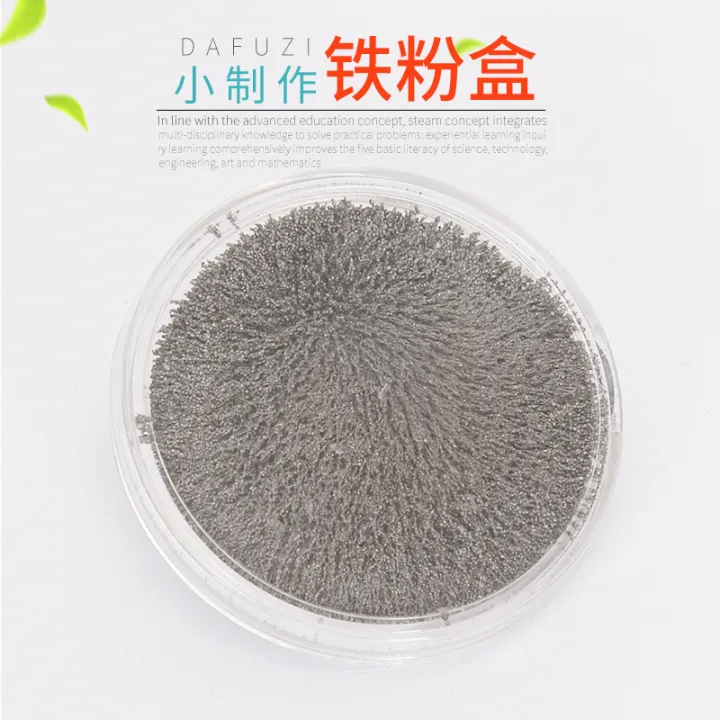 Magnetic Induction Line Demonstrator Iron Powder Chip Box Physical ...