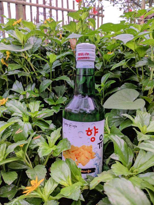 soju Halal non alkohol 330 ml | Lazada Indonesia