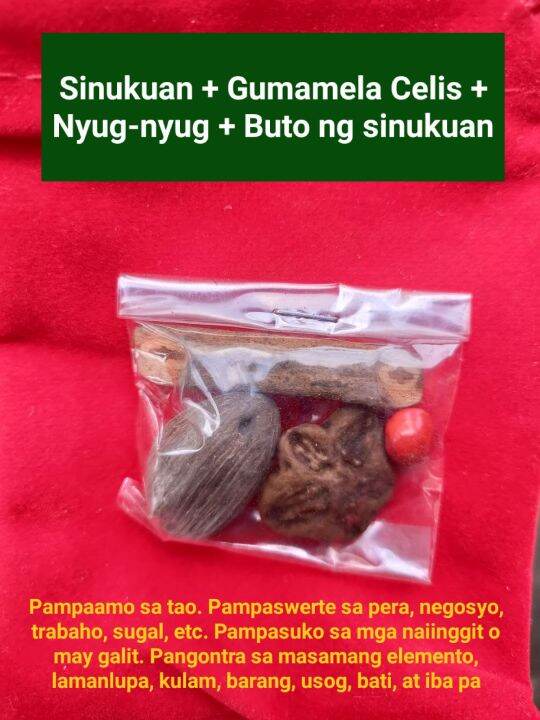 Sinukuan + Gumamela Celis + Nyug nyug + Buto ng sinukuan Lucky Charm ...