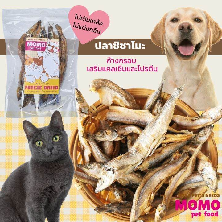 ปลาแห้ง ชิชาโมะ ปลาไข่แบบไม่มีไข่สำหรับสุนัขและแมว ปลาก้างกรอบ ไม่ใส่ ...