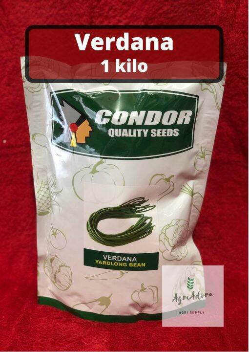 Verdana Yard Long Beans/Sitaw Seeds 1 kilo (Condor) | Lazada PH