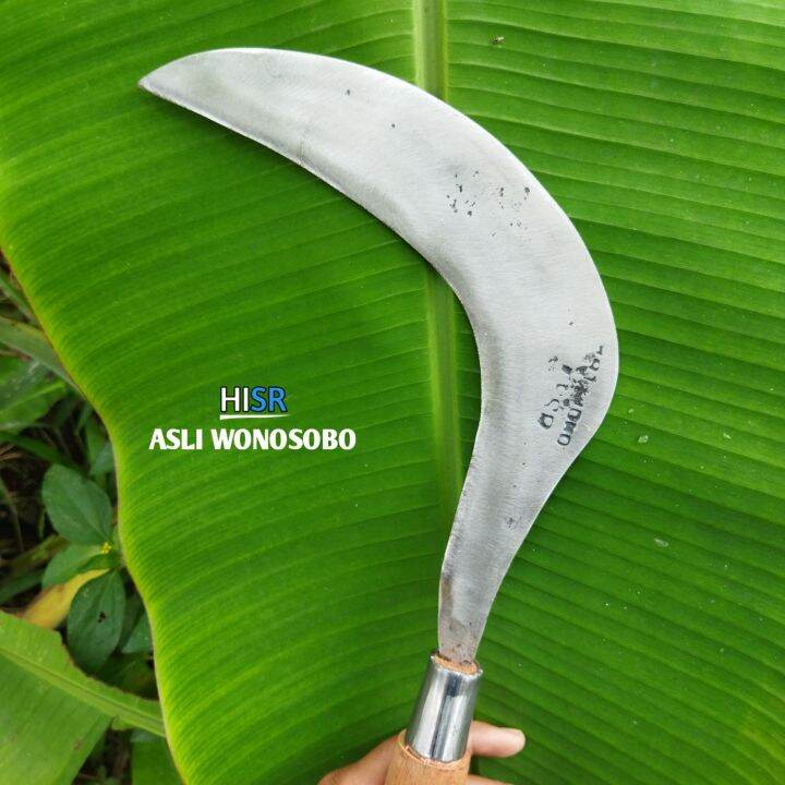 arit rumput baja full per kuat dan tajam | Lazada Indonesia