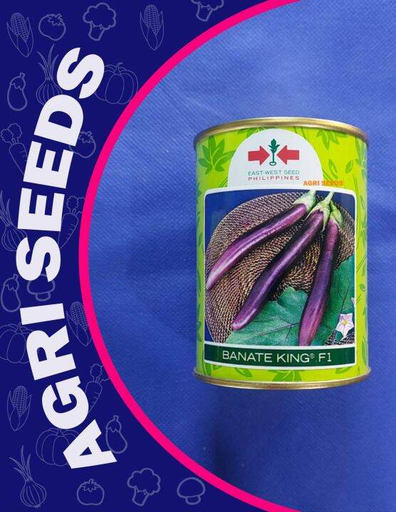 Banate King F1 (50 grams) Hybrid Eggplant Seeds / Talong Seeds by East ...