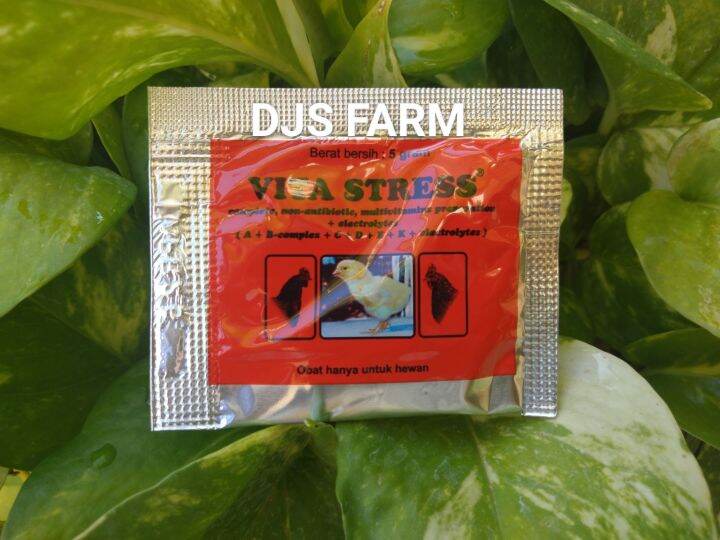 Vita Stress 5 gram Medion Vitamin Obat Ayam Unggas Bebek Itik Burung ...