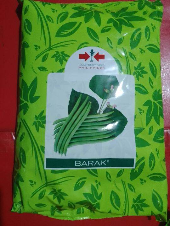 BARAK OPV BEAN OR BAGUIO BEANS(1KILO)EAST WEST SEEDS | Lazada PH