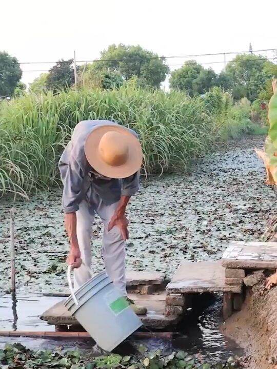 【Promotion 】 12V DC Submersible Stainless Steel Pump Agricultural Pump ...