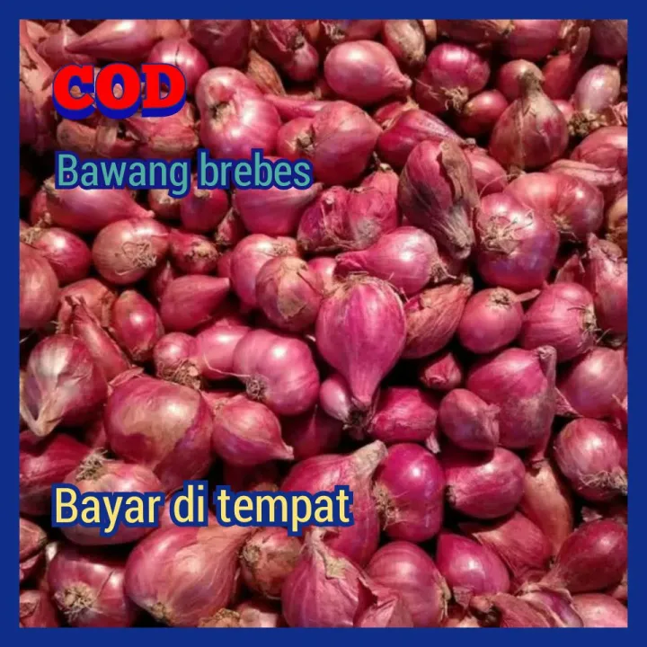 bawang merah segar 1kg | Lazada Indonesia