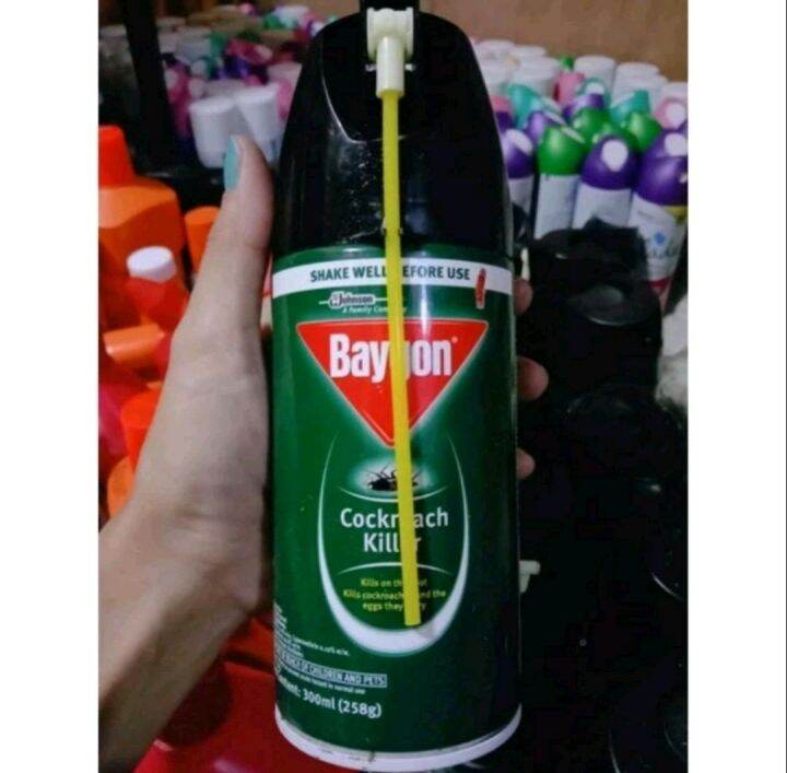 Baygon insect killer 300ml | Lazada PH