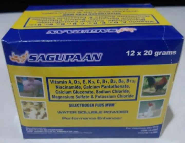 SELECTROGEN POWDER 12 X 20 GRAMS | Lazada PH