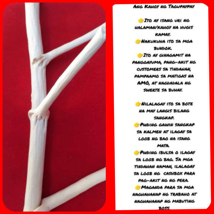 TAGUPAYPAY O PAYAPAY PAMPASWERTE SA NEGOSYO | Lazada PH