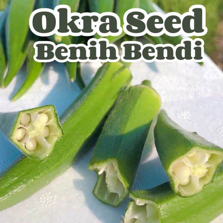 Okra Lady Finger Seed Benih Bendi 羊角豆 秋葵 种子 Benih Sayur | Lazada