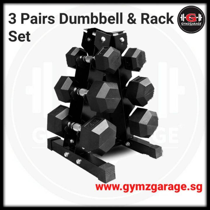 3 Pairs Hexagon Dumbbell & Rack Set ( Home Gym Fitness Workout ...
