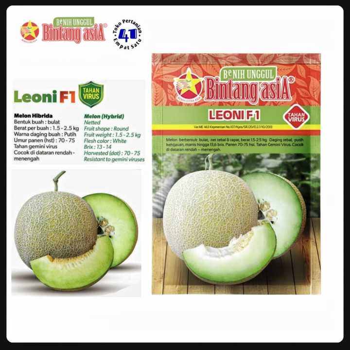 Benih Melon LEONI F1 20 Gram Cap Bintang Asia PT Benih Citra Asia Tahan ...