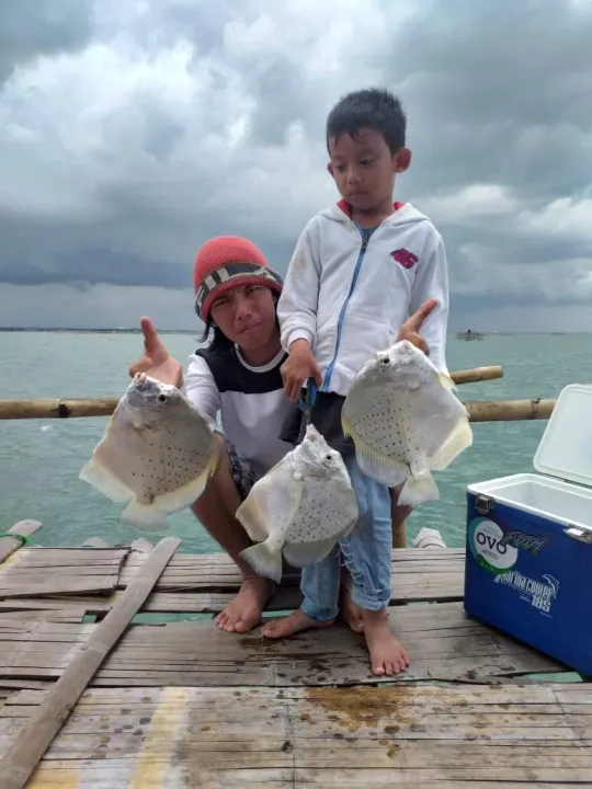 Rakitan pancing laut bagan Dasaran ikan tapi tapi | Lazada Indonesia