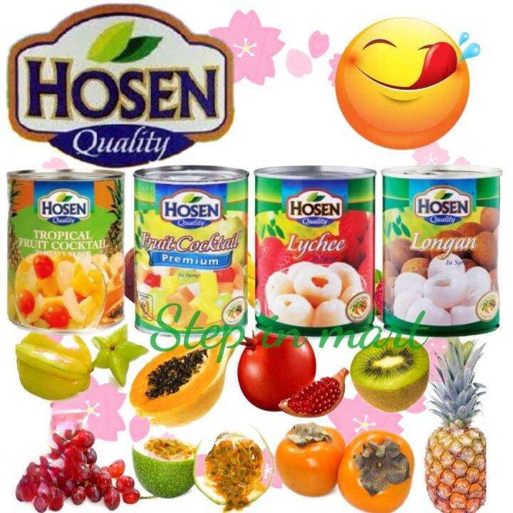 Hosen Longan/Lychee/pineapple/Fruit cocktail in syrup | Lazada
