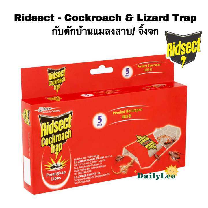 Ridsect Cockroach & Lizard Trap กับดักบ้านแมลงสาบและจิ้งจก 1 กล่อง ...