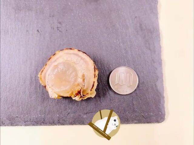 Dried Scallop Japanese snacks Direct from Hokkaido Japan 日本北海道免运直送 ...