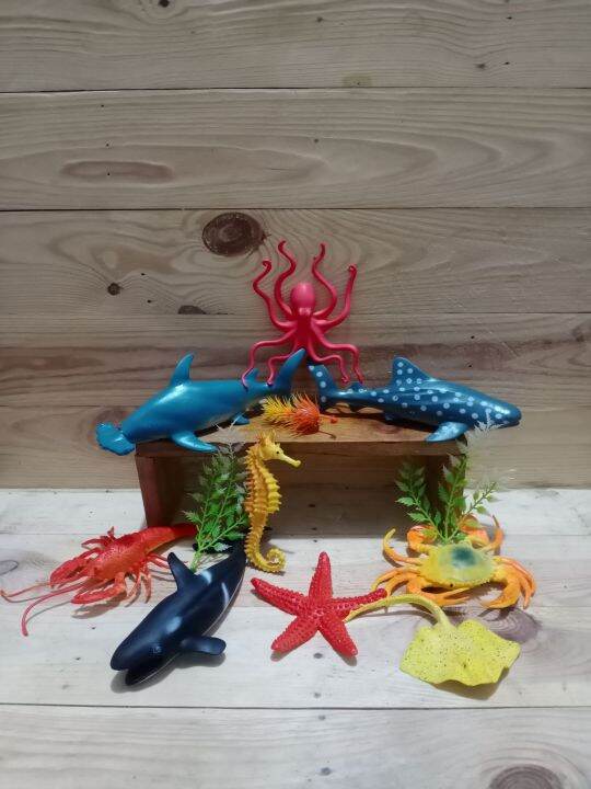 figure hewan laut sea world hiu tutul hiu palu kepiting kuda lobster ...