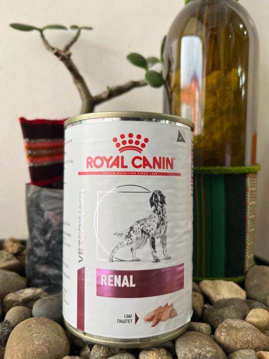 Royal Canin Renal Dog Wet Food 410g | Lazada PH
