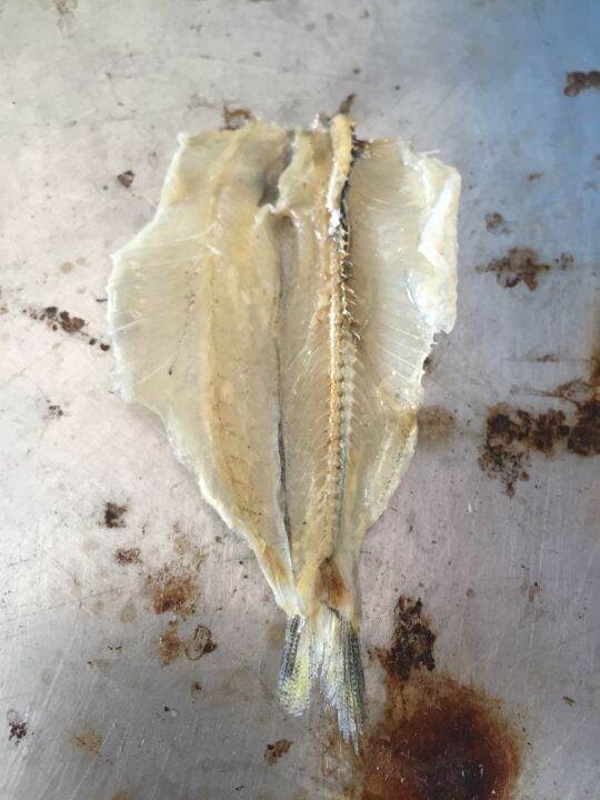 Ikan bunga air istimewa (200 gram) | Lazada