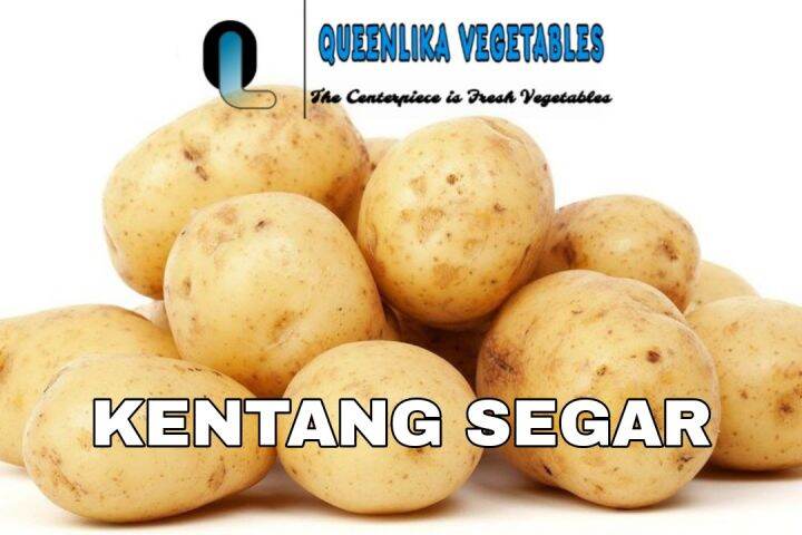 kentang segar fresh 1kg Murah | Lazada Indonesia