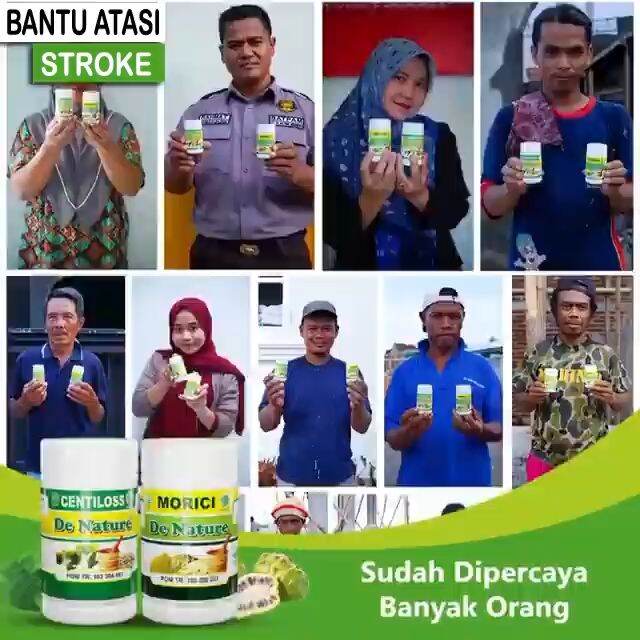 centiloss Morici solusi obat stroke ringan dan stroke berat herbal ...