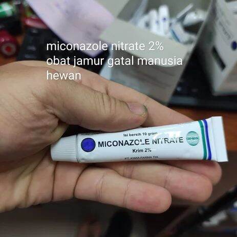 Salep Miconazole 1 pcs, Salep Gatal Ruam kulit Infeksi jamur | Lazada ...