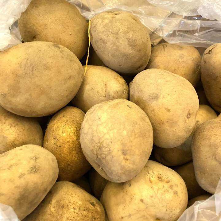 Kentang Dieng 1 kg | Lazada Indonesia