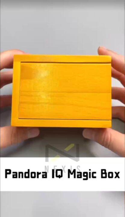 Luban Lock Decryption Pandora IQ Magic Box Toy High Iq Brain-Burning ...